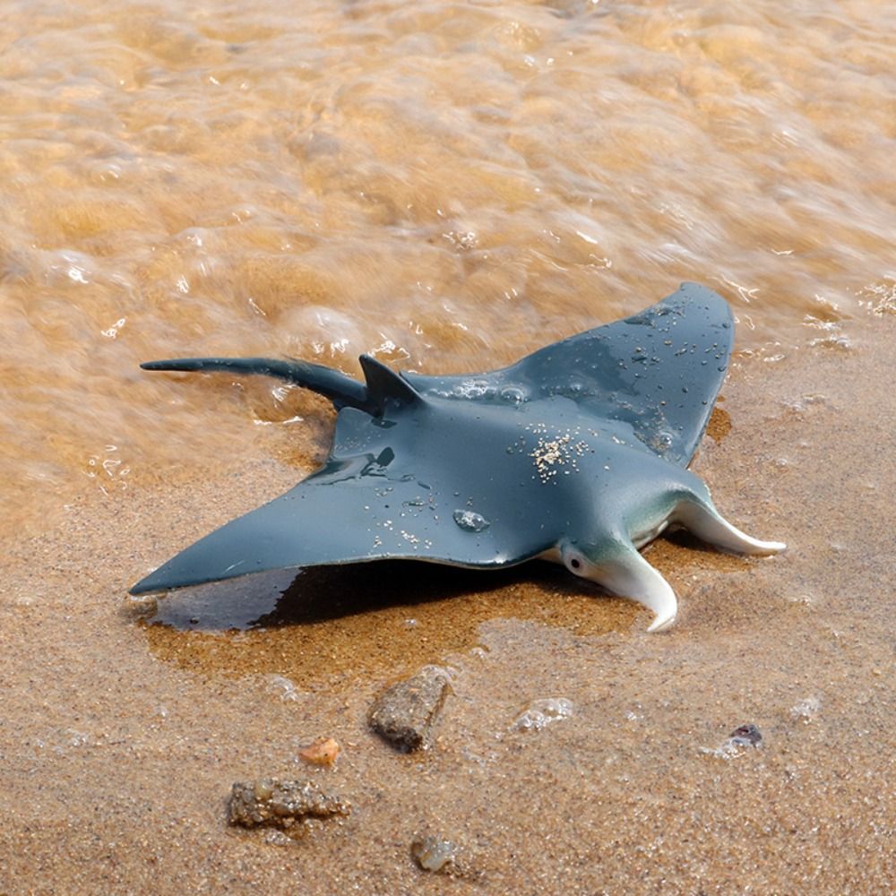 Children Gift Simulation Manta Ray Model Miniature Fish Model Ocean ...