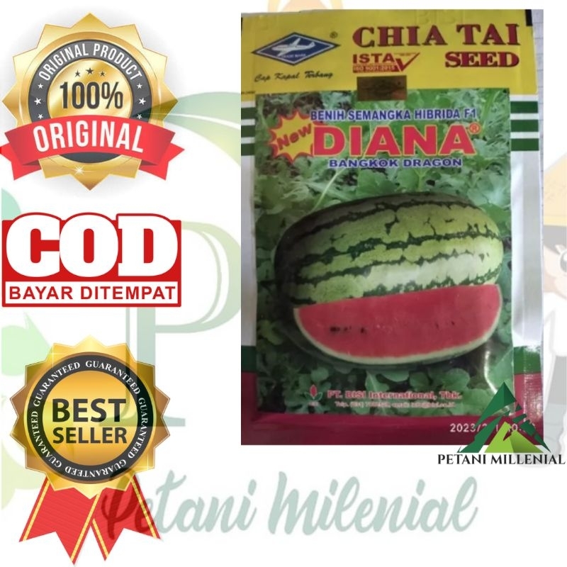 BENIH SEMANGKA INUL LOREK DIANA 20 GRAM - BIBIT SEMANGKA INUL CAP KAPAL TERBANG | Lazada Indonesia