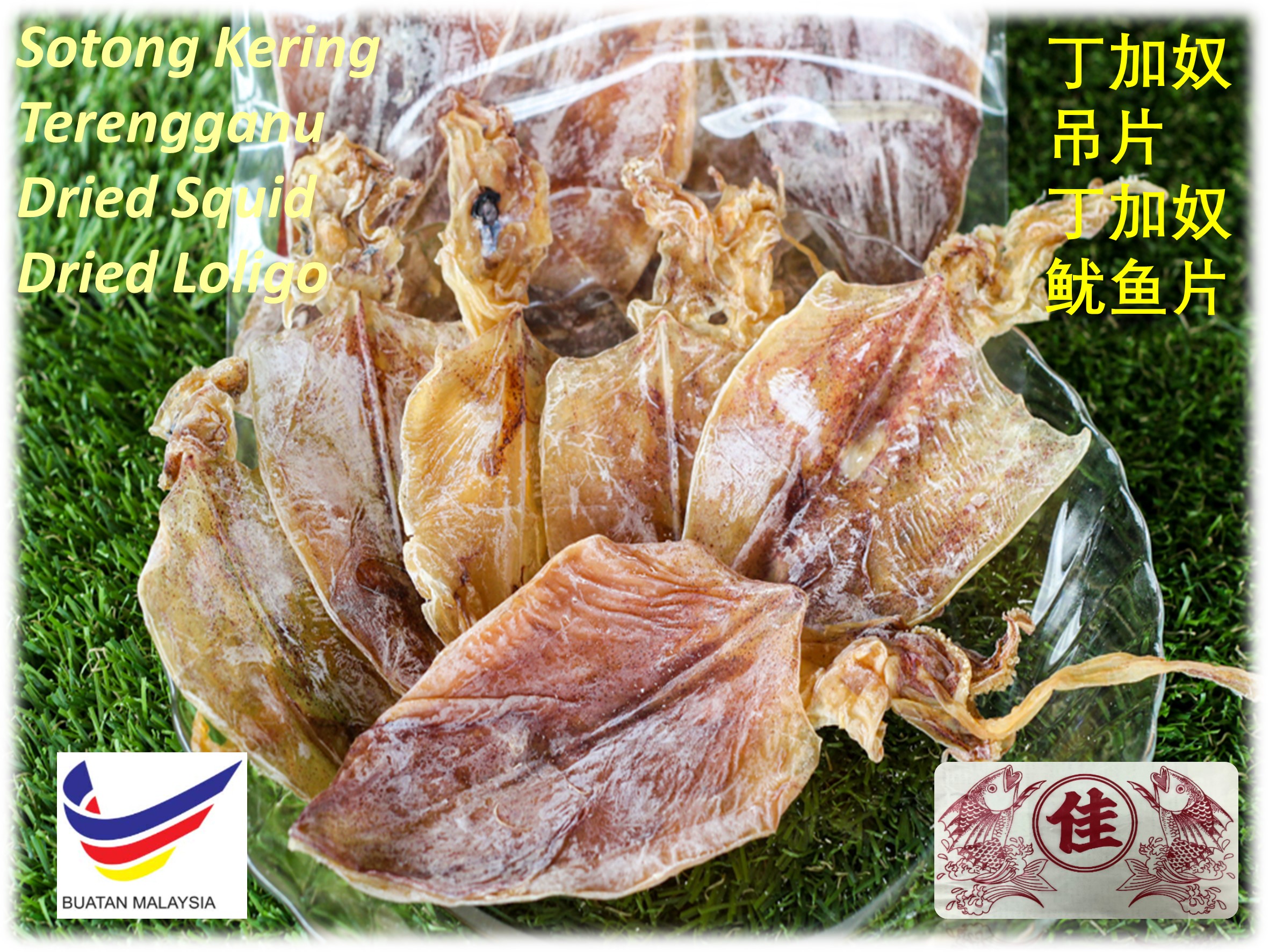 Sotong Kering Terengganu Dried Squid Dried Loligo 丁加奴吊片 丁加奴鱿鱼片 | Lazada