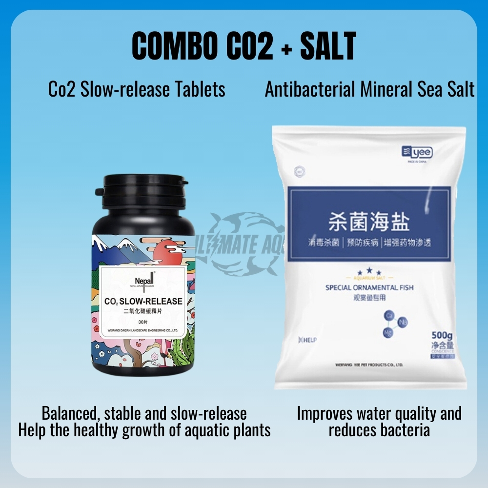 YEE Nepall Co2 Slow-release Tablets, Improve Aquatic Plants,Special For Algae | Aquarium ...