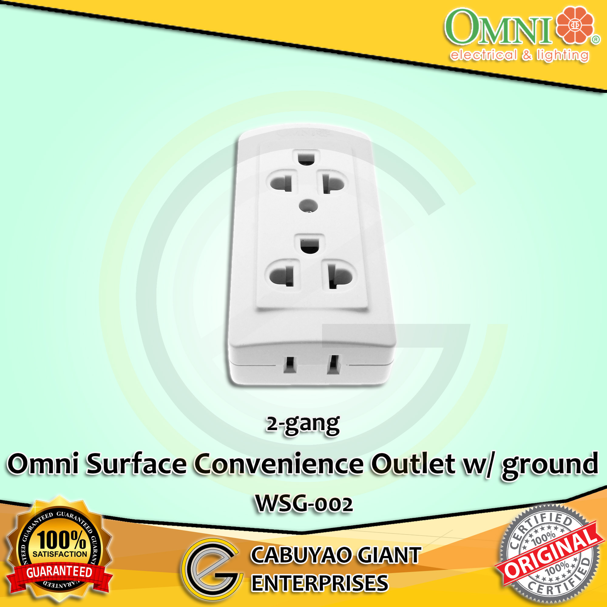 Omni Surface Convenience Outlet with Ground 2-Gang 10A 250V WSG-002 ...