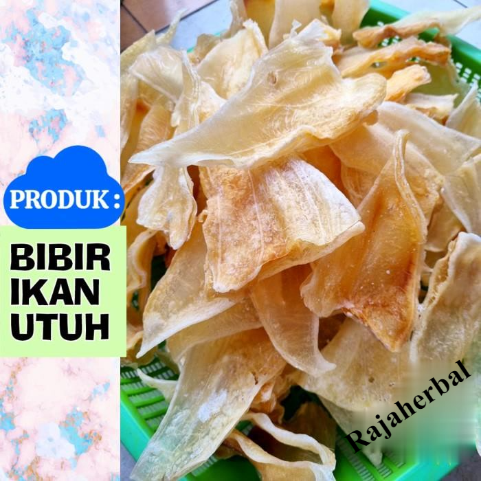 Raja Seafood - Bibir Ikan Kering Utuh 100gram - Makanan Khas Chinese ...