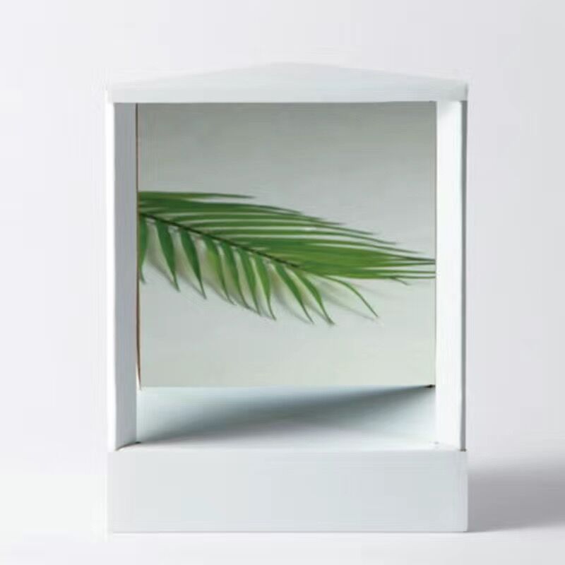 Mirrorless mirror true mirror restored inverted mirror left and right ...