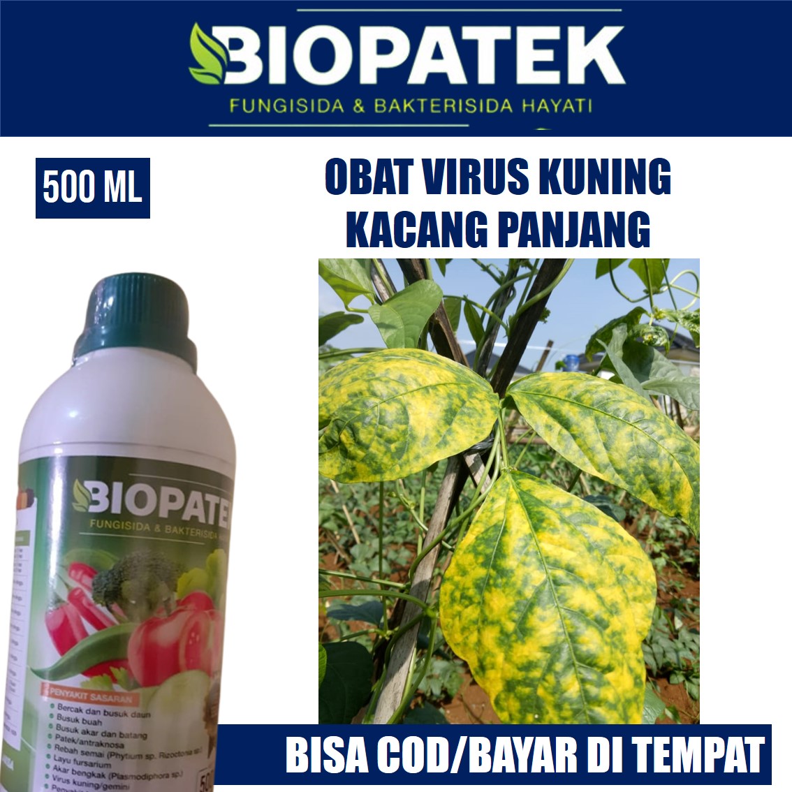 OBAT KUNING DAUN Kacang Panjang BIOPATEK 500 ML - Pupuk Organik Cair ...
