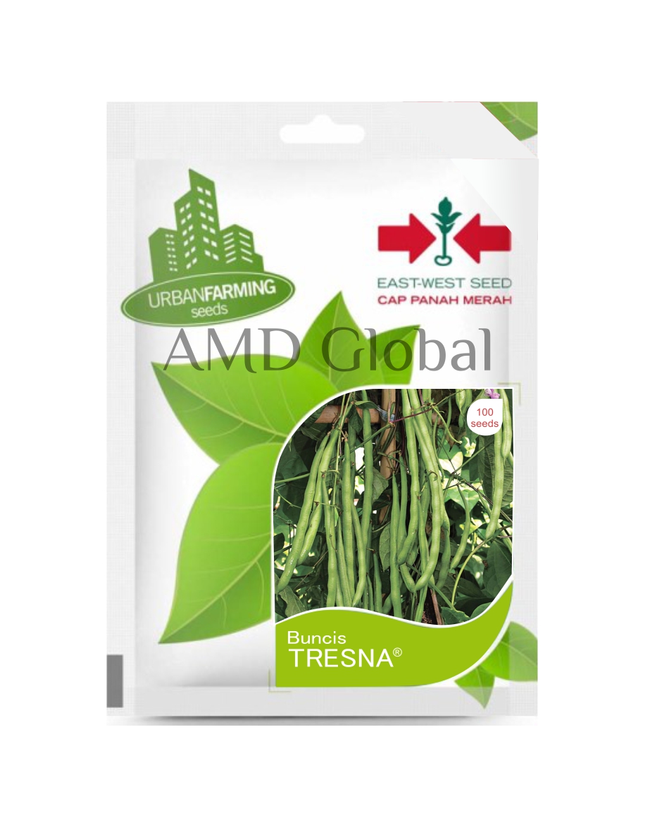 Benih Buncis Tresna Cap Panah Merah Isi 100 Biji | Lazada Indonesia