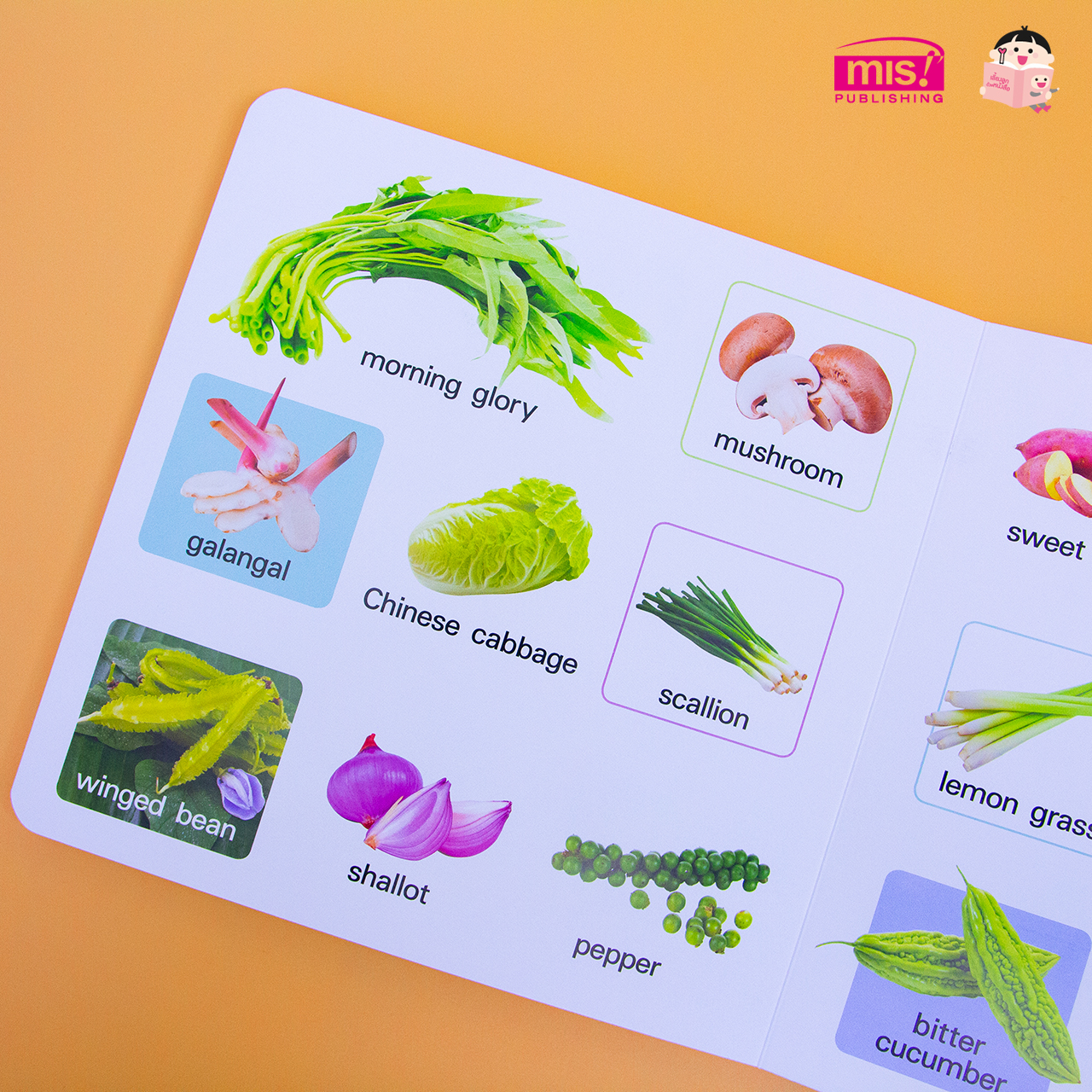 100 First Fruits Vegetables (Board Book) - สำนักพิมพ์เอ็มไอเอส (MISBOOK ...