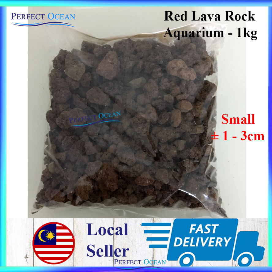 Red Lava Rock Aquarium Pasir Malang 1kg Aquascape Volcano Stone 红火山石 🌊 ...