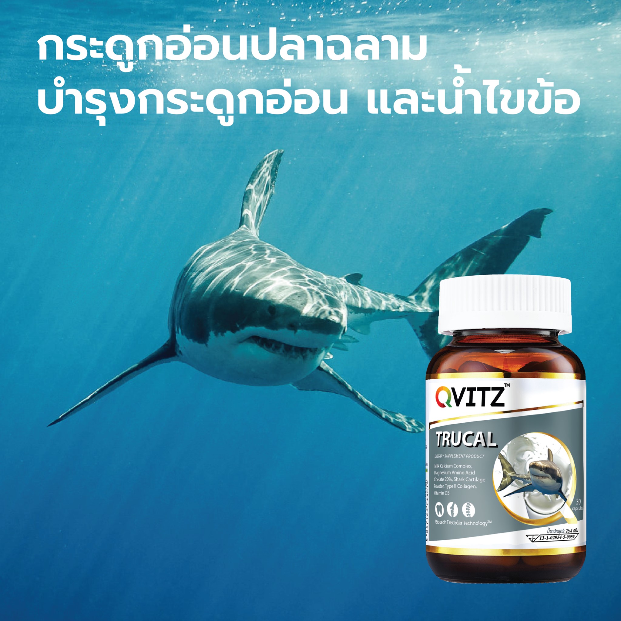 Qvitz TRUCAL 30 เม็ด บำรุงกระดูก ผงกระดูกอ่อนปลาฉลาม คอลลาเจนไทพ์ทูชนิด ...