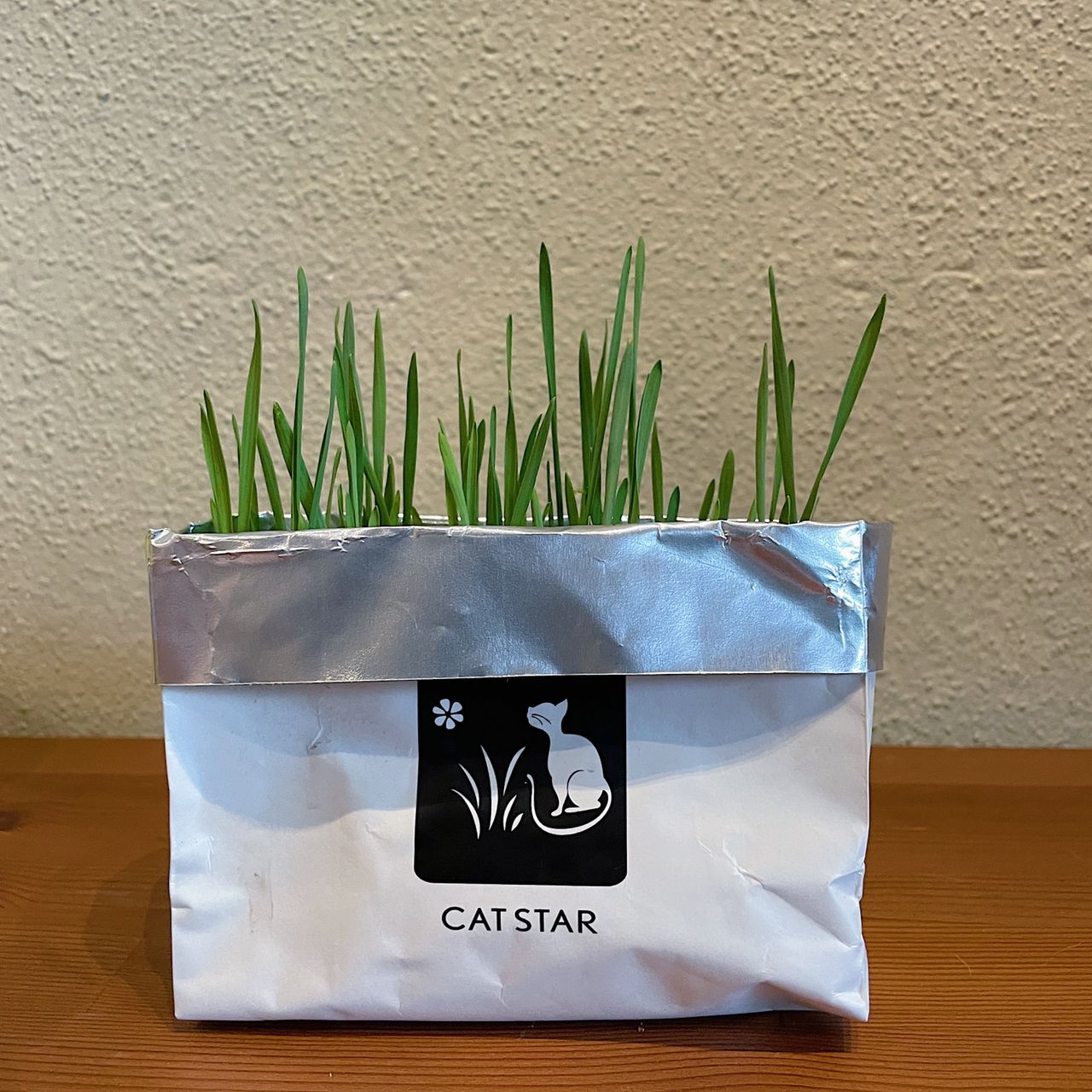 Abang Furry •READY STOCK Convenient Catnip Plant Set For Cat Crystal ...