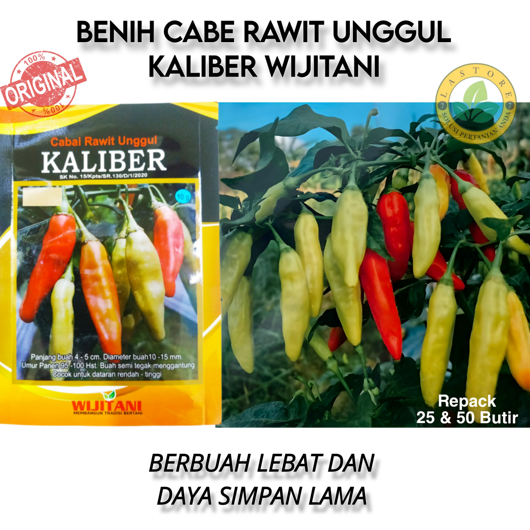Benih Cabe Cabai Rawit Unggul KALIBER Repack Wijitani | Lazada Indonesia