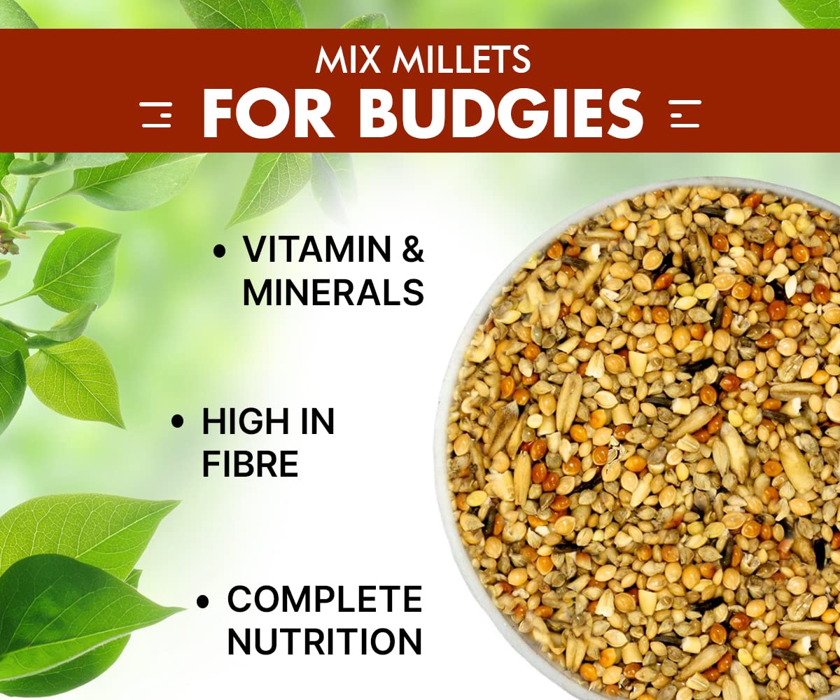 Thor Natural and Healthy Seed Mix Bird Food For All Life Stages ...