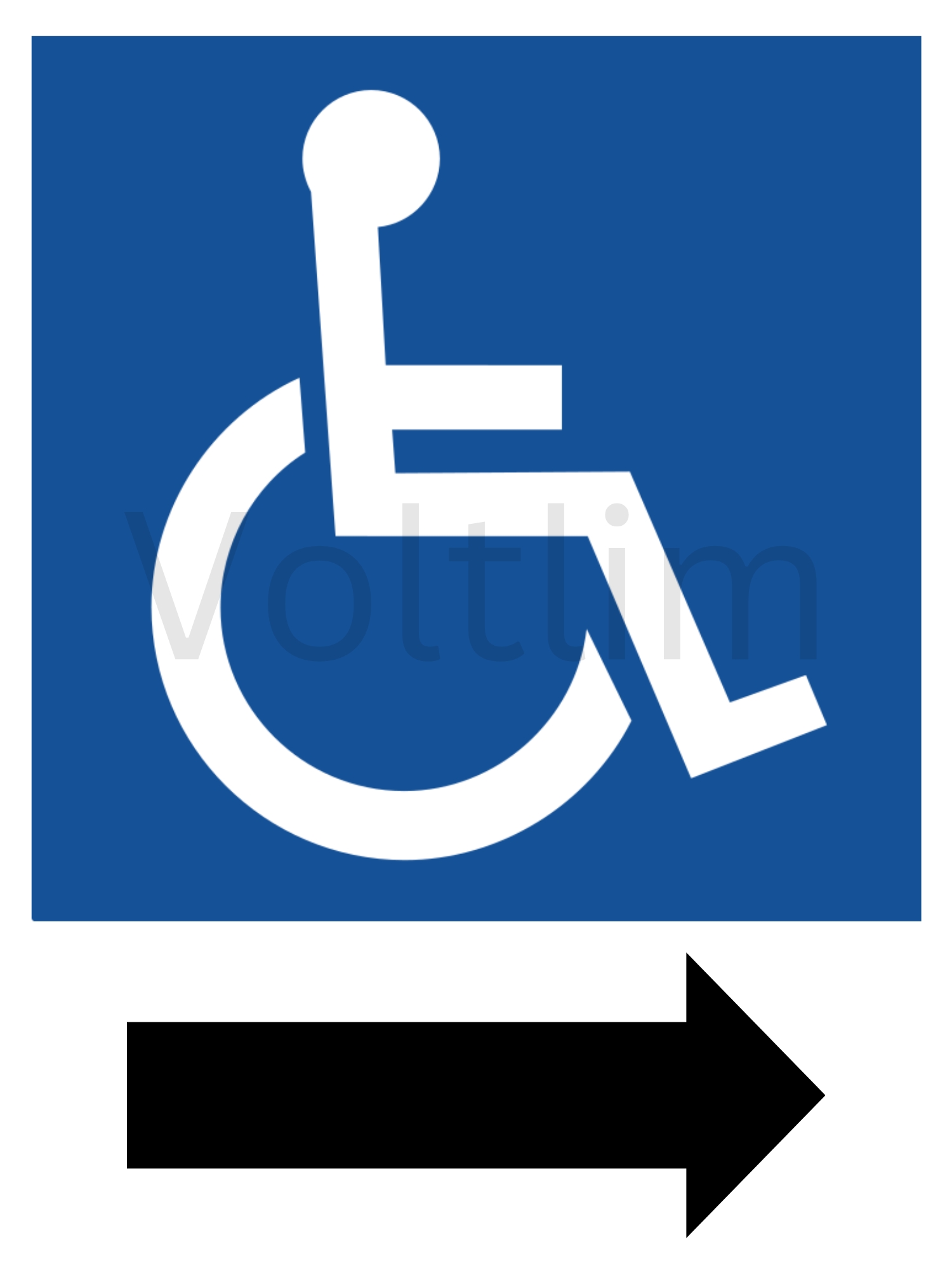 International Symbol of Access for Persons with Disabilities (PWD ...