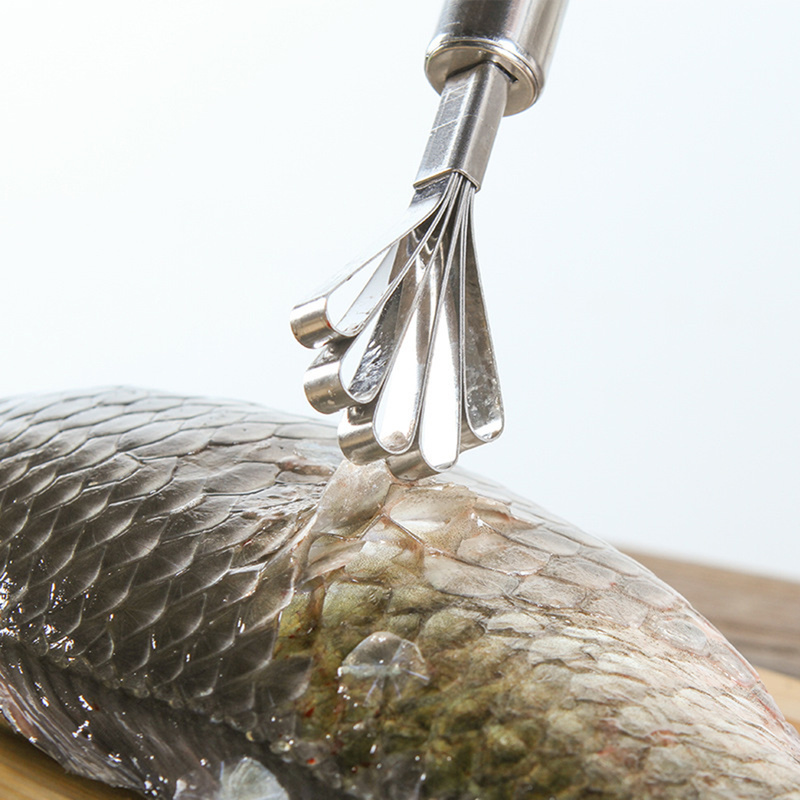 【Best Lrice】Coconut Shaving Fish Scale Scraper Grater Stainless Steel ...