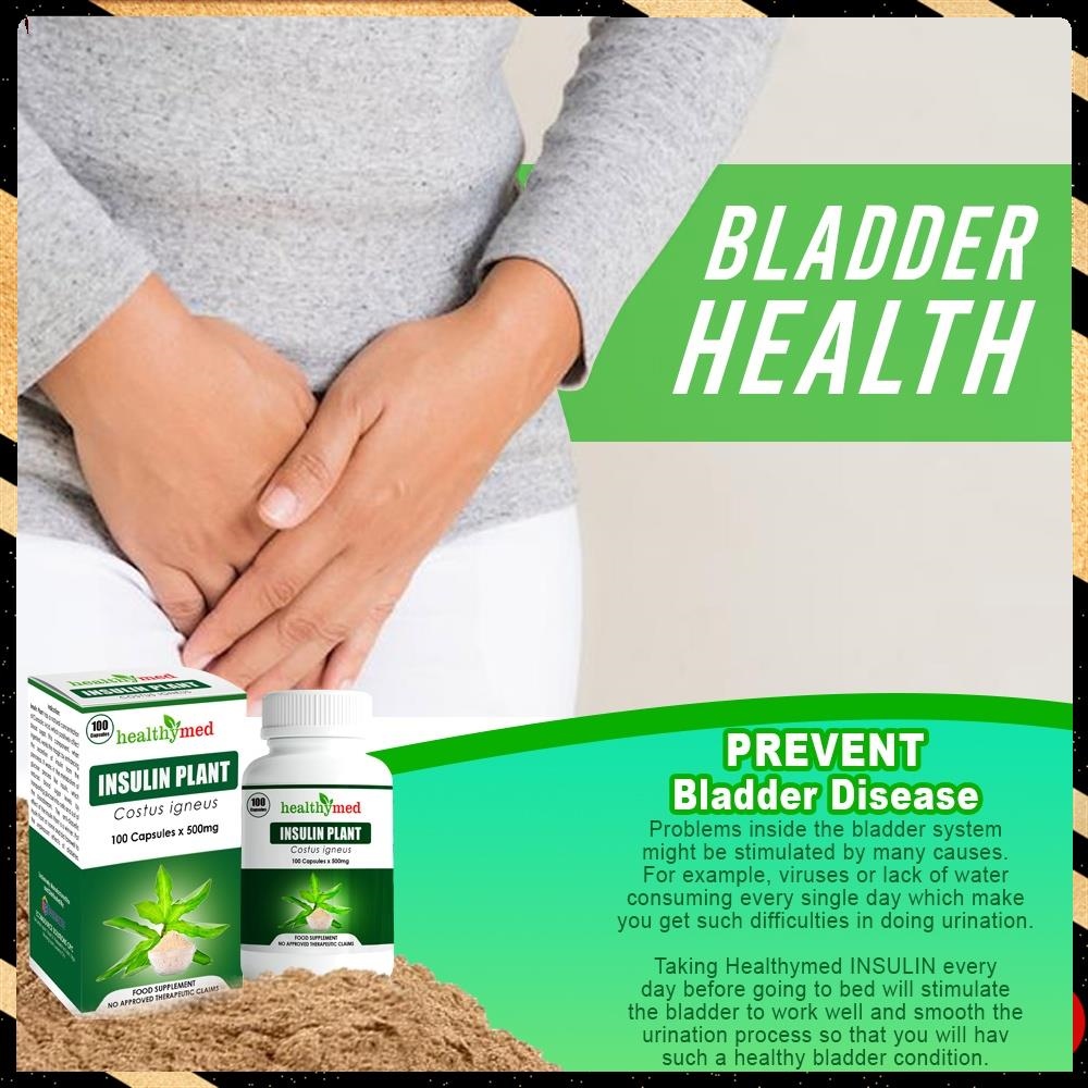 Healthymed Insulin Plant Capsule - Pure Organic Insulin Anti-Diabetic ...