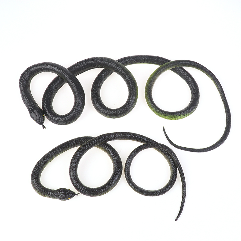 Outdoor Games Snake Prank With String Clip Snake On A String Prank That ...