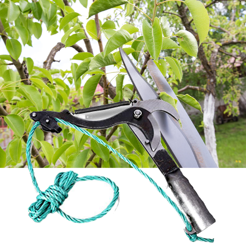 Telescopic High-altitude Scissors Fruit Picker Cutting Branches Pruning ...