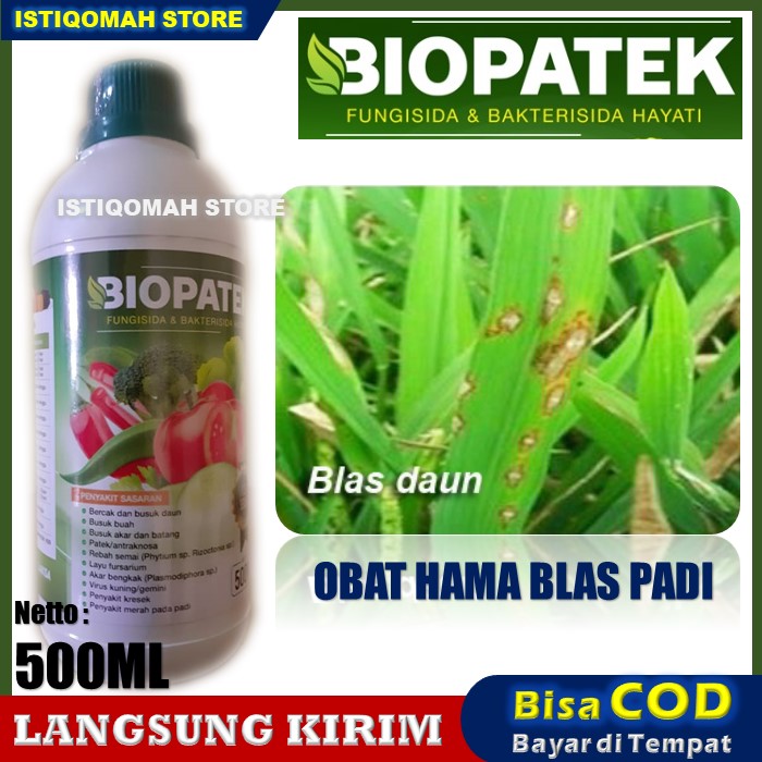 BIOPATEK 500ml Fungisida & Bakterisida Hayati Atasi Penyakit Blas pada Padi, Obat Blast dan ...
