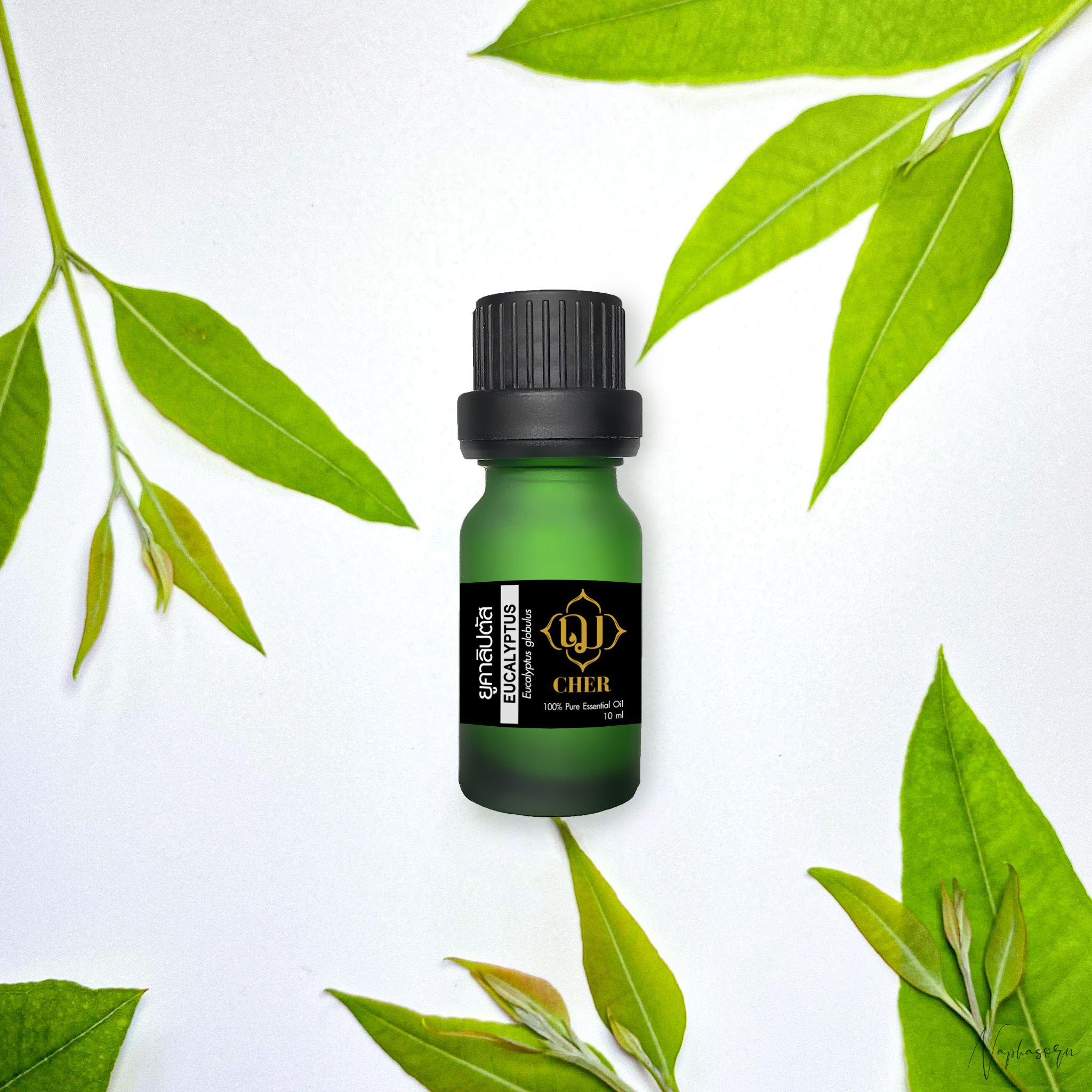 Cher Eucalyptus 100% Pure Essential Oil น้ำมันหอมระเหยยูคาลิปตัส เฌอ ...