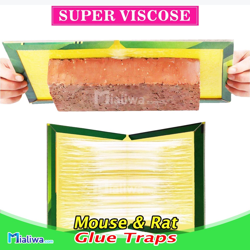 1 PC Large Mouse Glue Traps with Enhanced Stickiness, Rat Snake Sticky ...