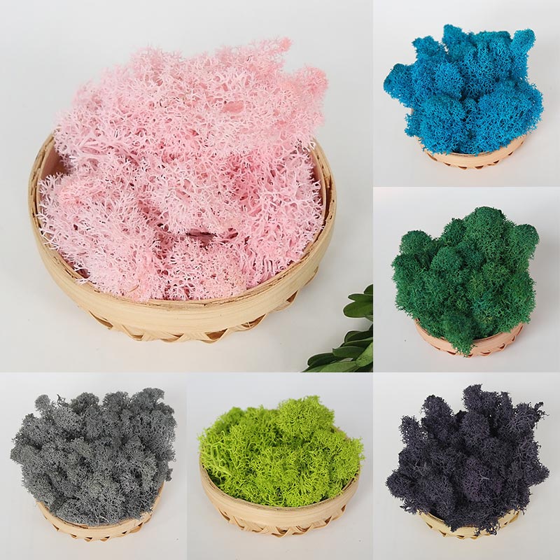 【RetroGlobe】Immortal Fake Flower Moss Grass Christmas decorations ...