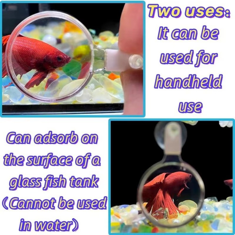 3pcs Durable Acrylic Aquarium Magnifying Glass Mini Portable Fish ...