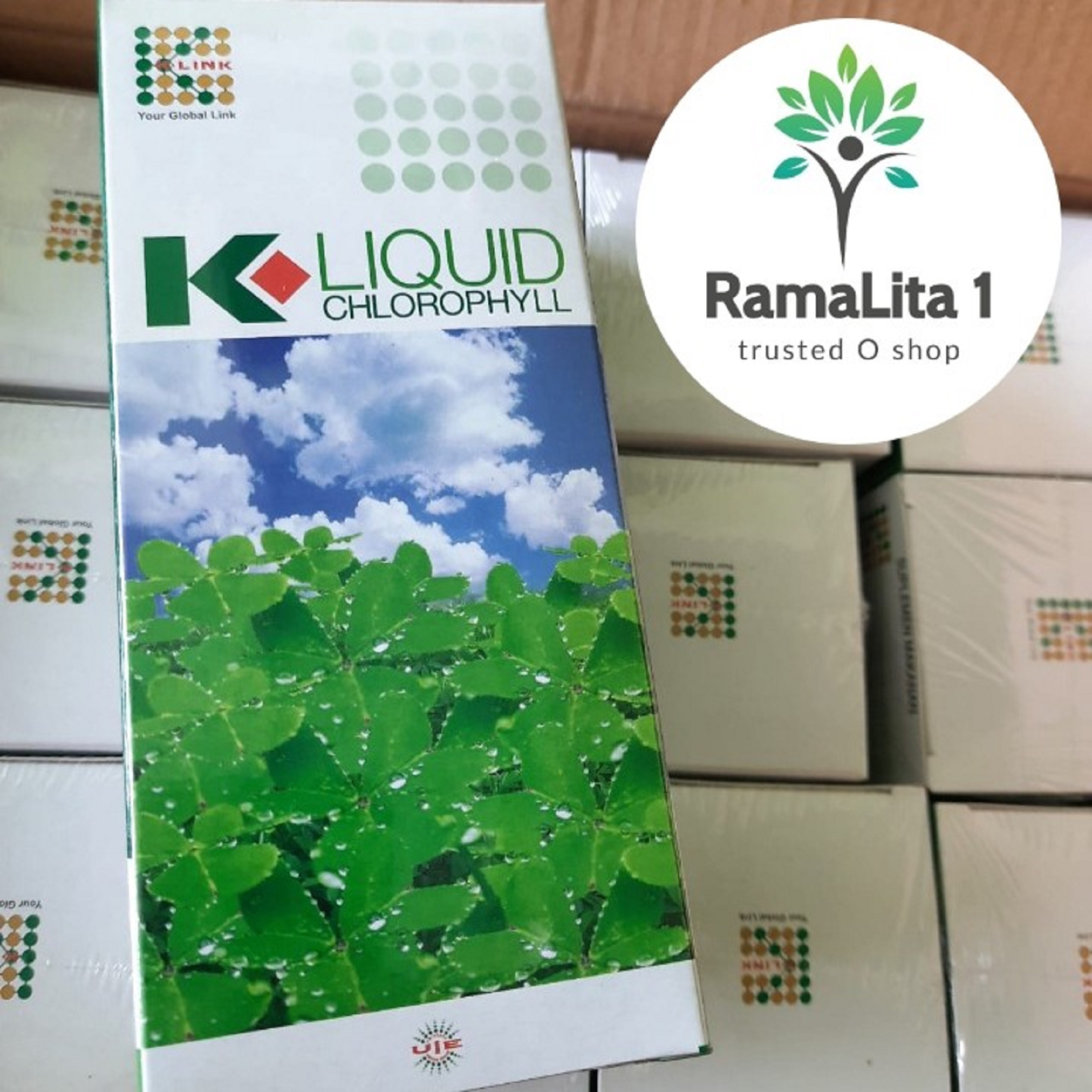 klorofil Kloropil k Link liquid chlorophyll 500ml Anti oksidan Original ...