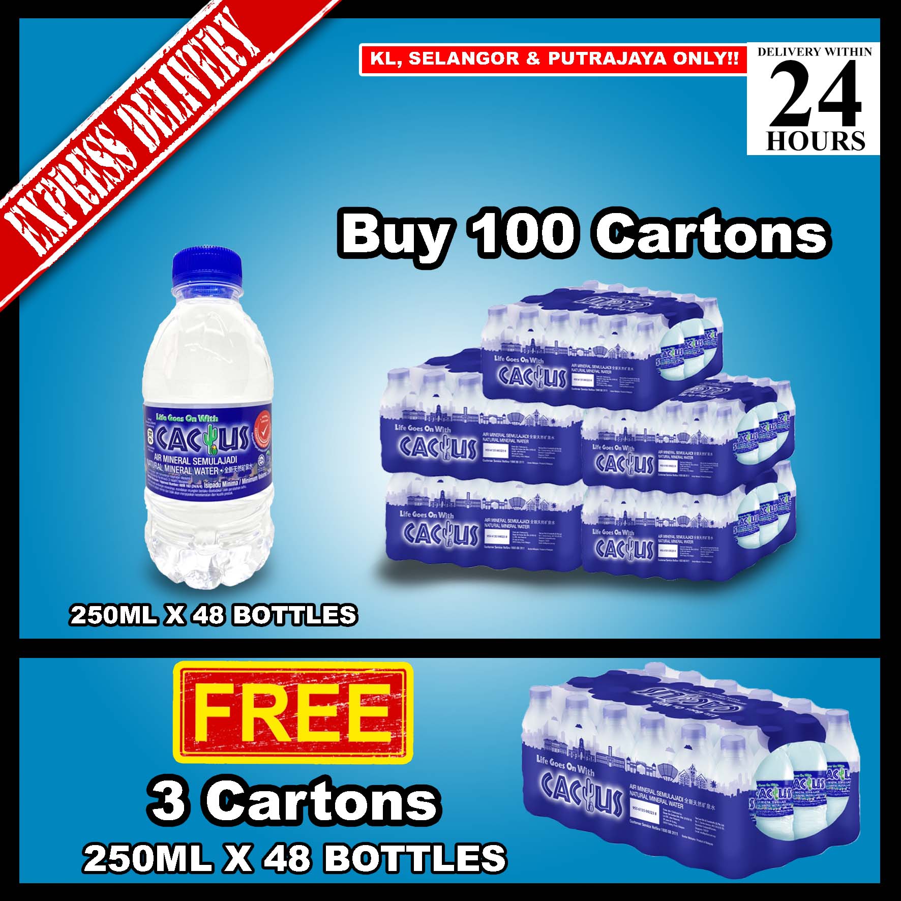 BUNDLE OF 100 CARTONS : CACTUS MINERAL WATER 250ML x 48 BOTTLES | Lazada