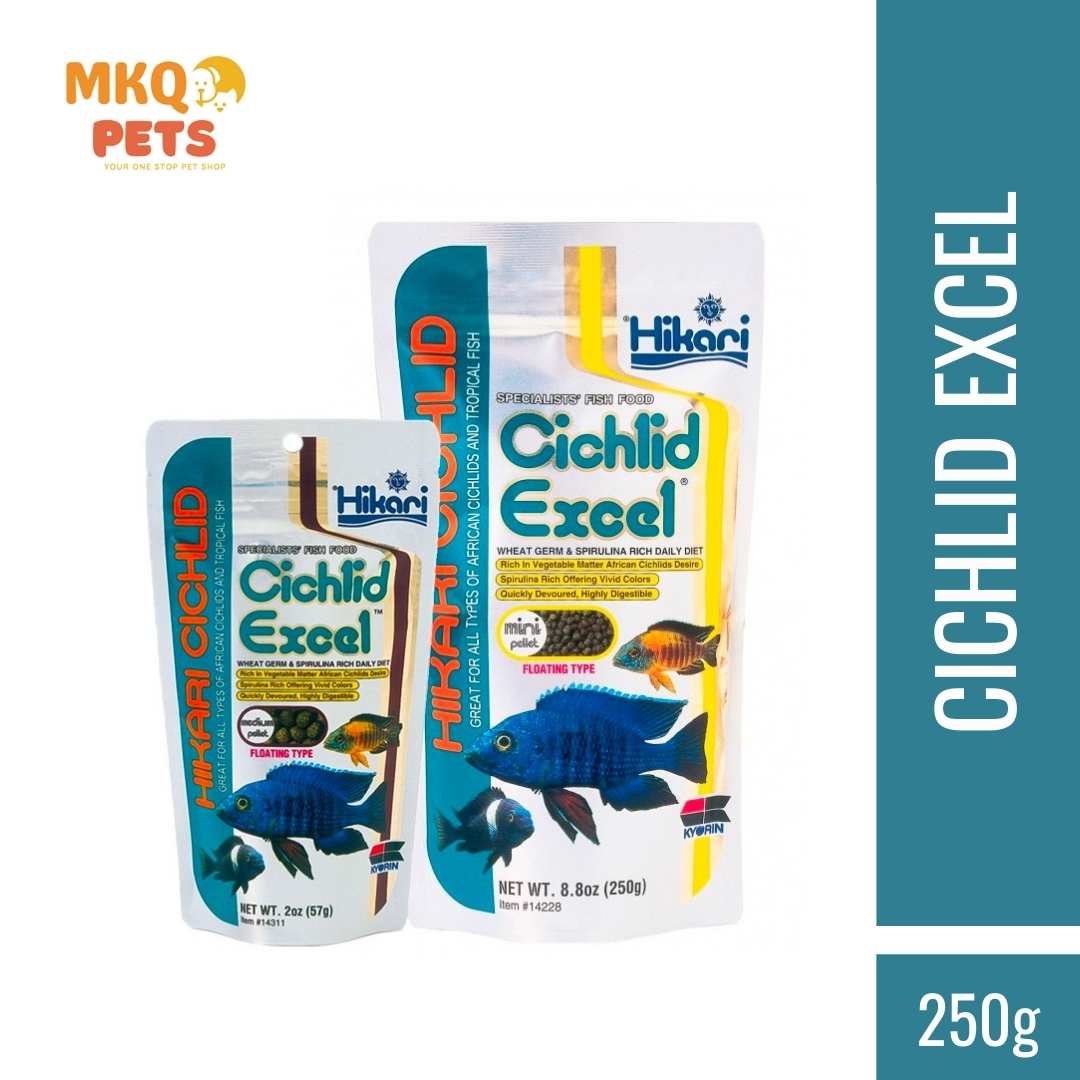 Hikari Cichlid Excel | Lazada PH