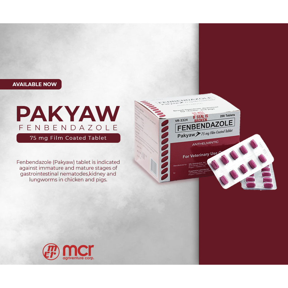 Pakyaw Tablet - 10 pcs (isang banig) Dewormer for chick Chicken ...