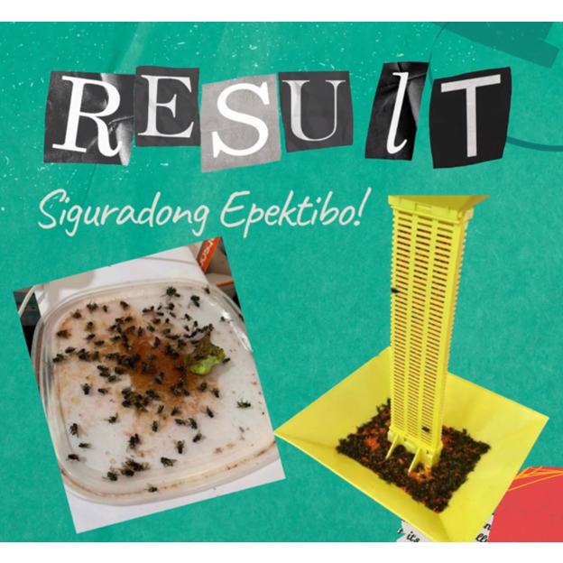 Flystar Advance (Agita Zyrox) Pamapatay Langaw Killer Fly Control Fly ...