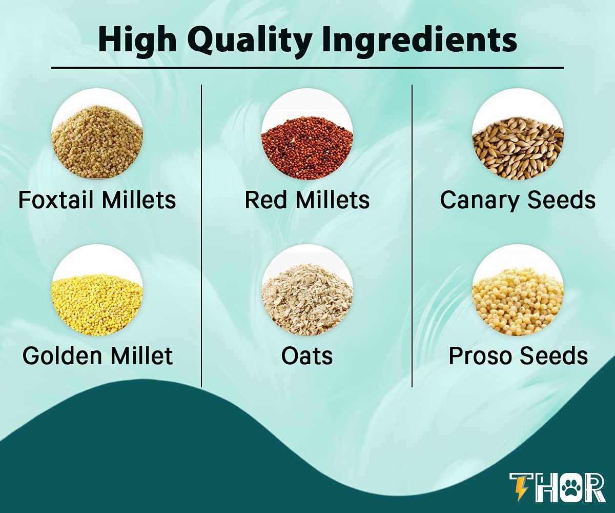 Thor Natural and Healthy Seed Mix Bird Food For All Life Stages ...