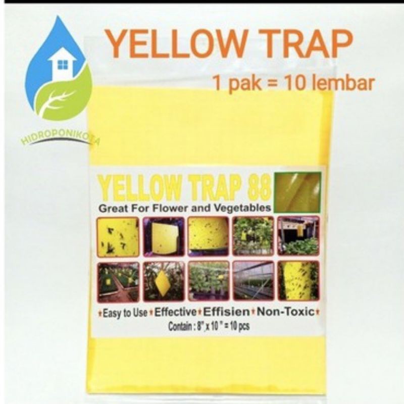 yellow trap (1 pack = 10 lembar) insect trap perangkap serangga dan ...