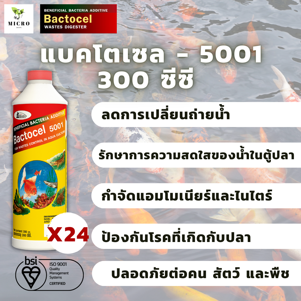 Bactocel 5001 แบคโตเซล 5001 300 ml. 24 ขวด จุลินทรีย์รักษาสภาพน้ำในบ่อ ...