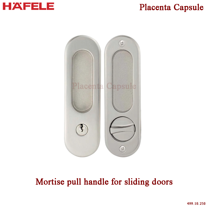Hafele Mortise pull handle for sliding doors | Lazada PH