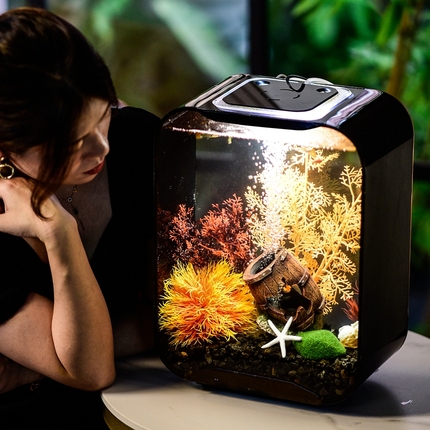 18L Mini Fish Tank Aquarium Kit with LED Lighting and Power Filter ...
