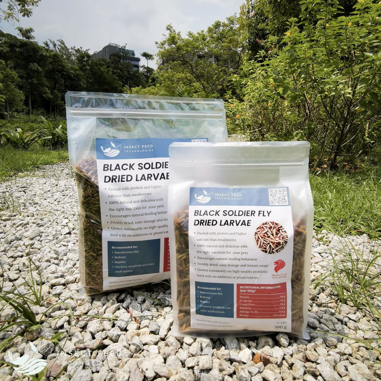 Dried BSF Larvae 1.5KG Dried Worms Black Soldier Fly Larvae Grubs For ...