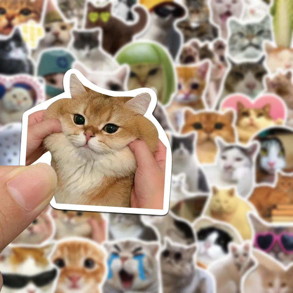 10/30/50PCS Funny Cat Meme Cartoon Stickers for Kids DIY Laptop Bike ...
