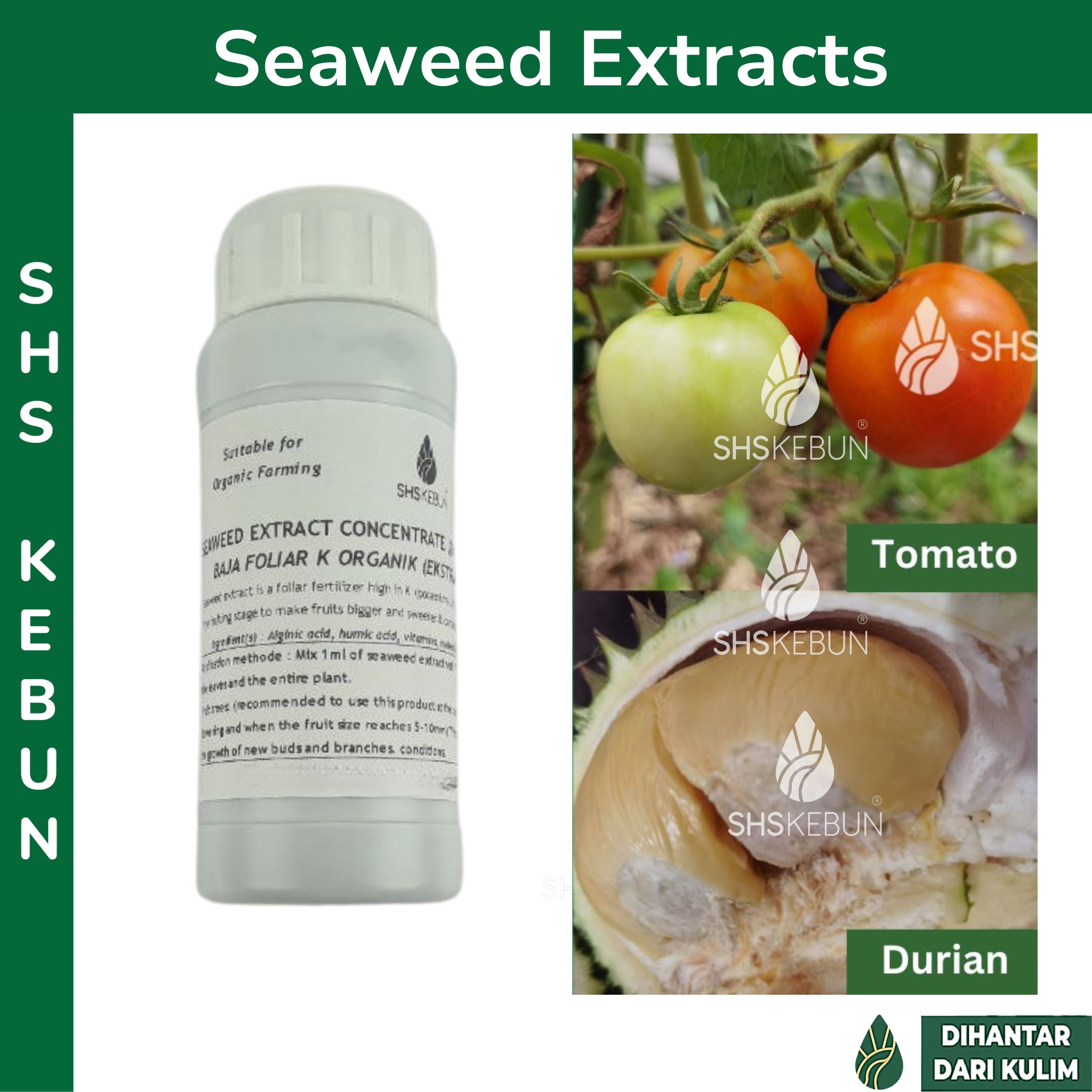 KMB Seaweed Extract Fertilizer Baja Cecair Liquid Fertilizer Foliar Fertilizer Rumpai Laut 100 ...