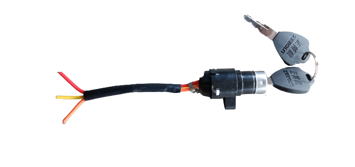 E-BIKE Ignition key switch for Phoenix, Romai, Mini Cruz | Lazada PH