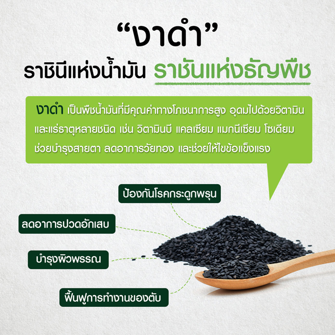 Navis Plus Natural Sesame Oil 500 mg. 3 กล่อง แถม 4 กล่อง ...