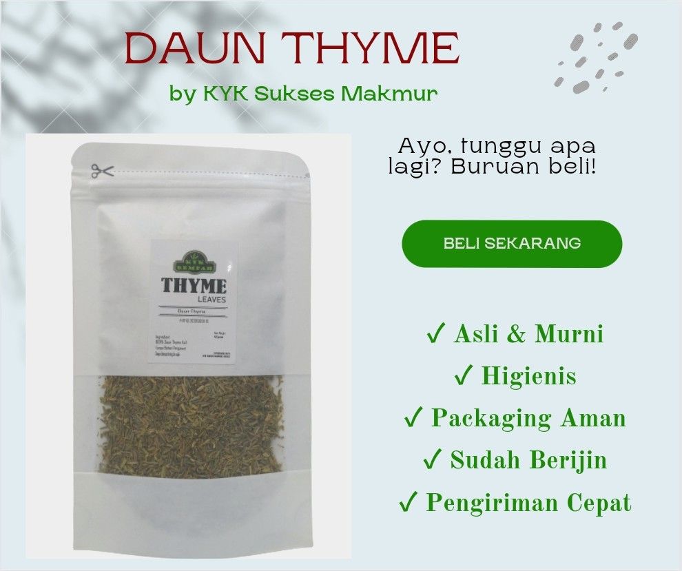DAUN TIMI / THYME LEAVES | Lazada Indonesia