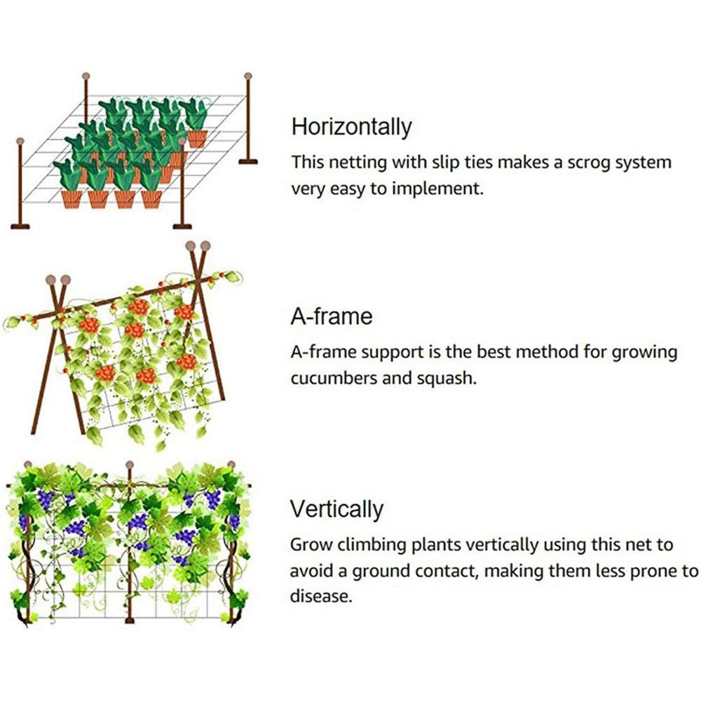 Garden Plants Climbing Net Strong Nylon Net Loofah Morning Glory Flower ...