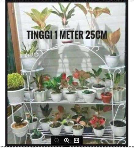 Rak Bunga Besi Susun 9 Minimalis Tanaman Hias Aglonema Bertingkat 25 ...