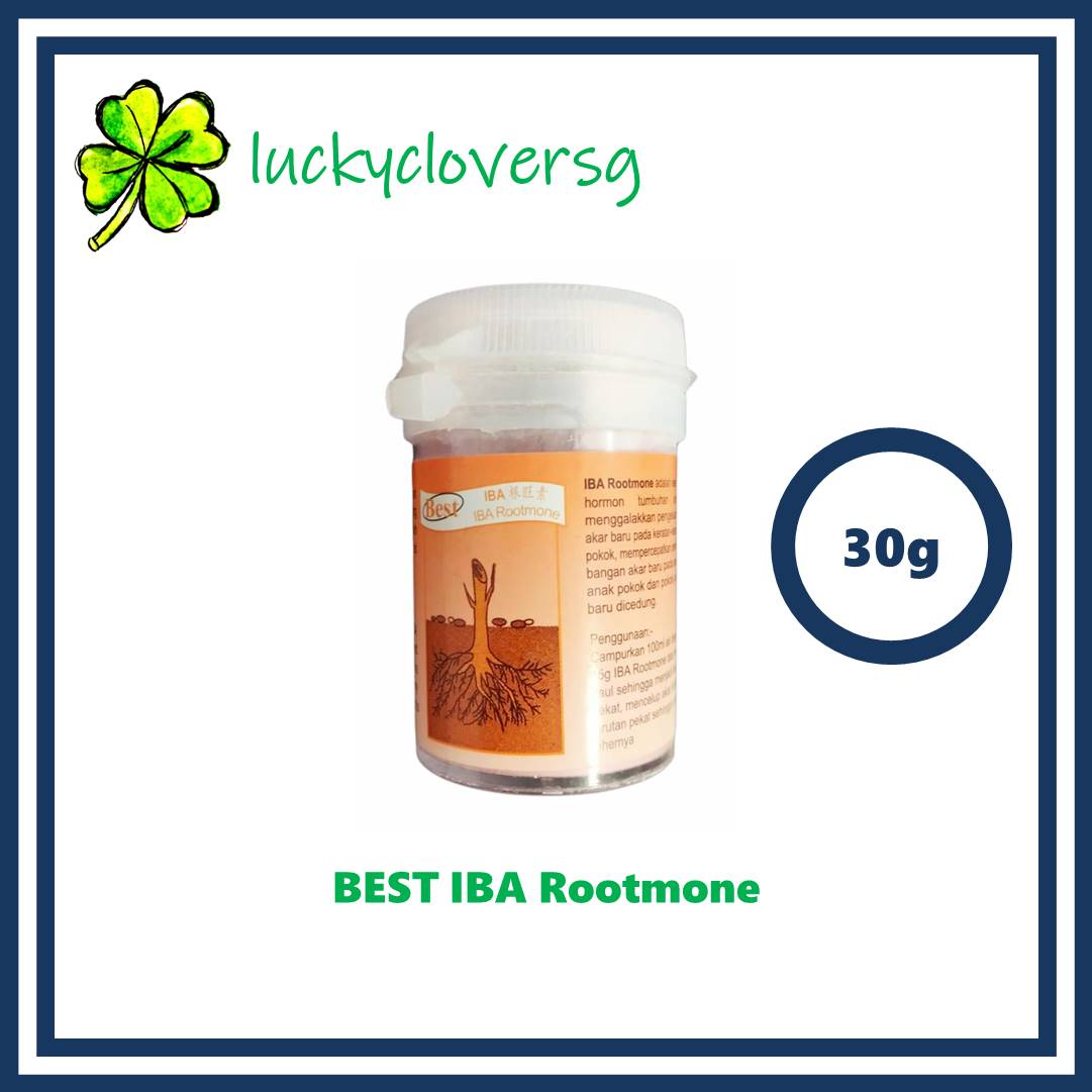 Rooting Powder / BEST IBA Rootmone / Gardener / Hormone / Growth Of ...