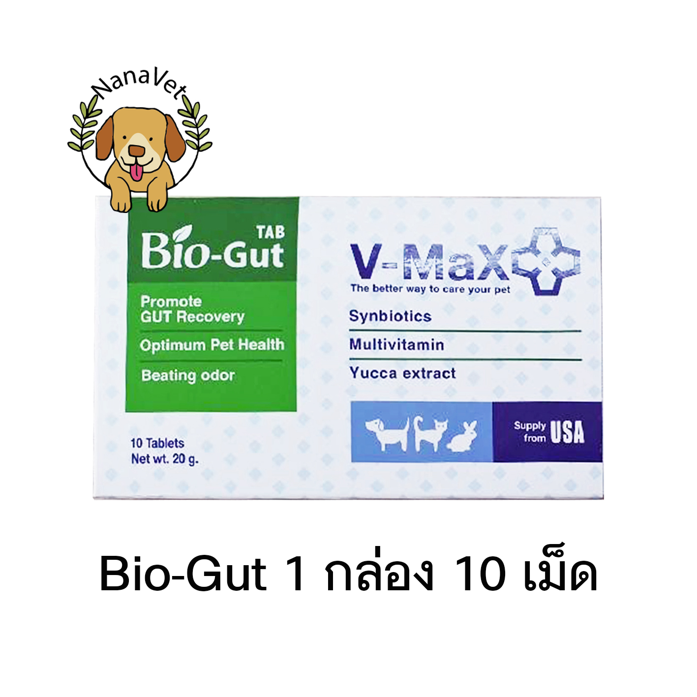 V-max Bio-Gut 20 g Exp.3/2023 Probiotics โพรไบโอติก อาหารเสริม ปรับ ...