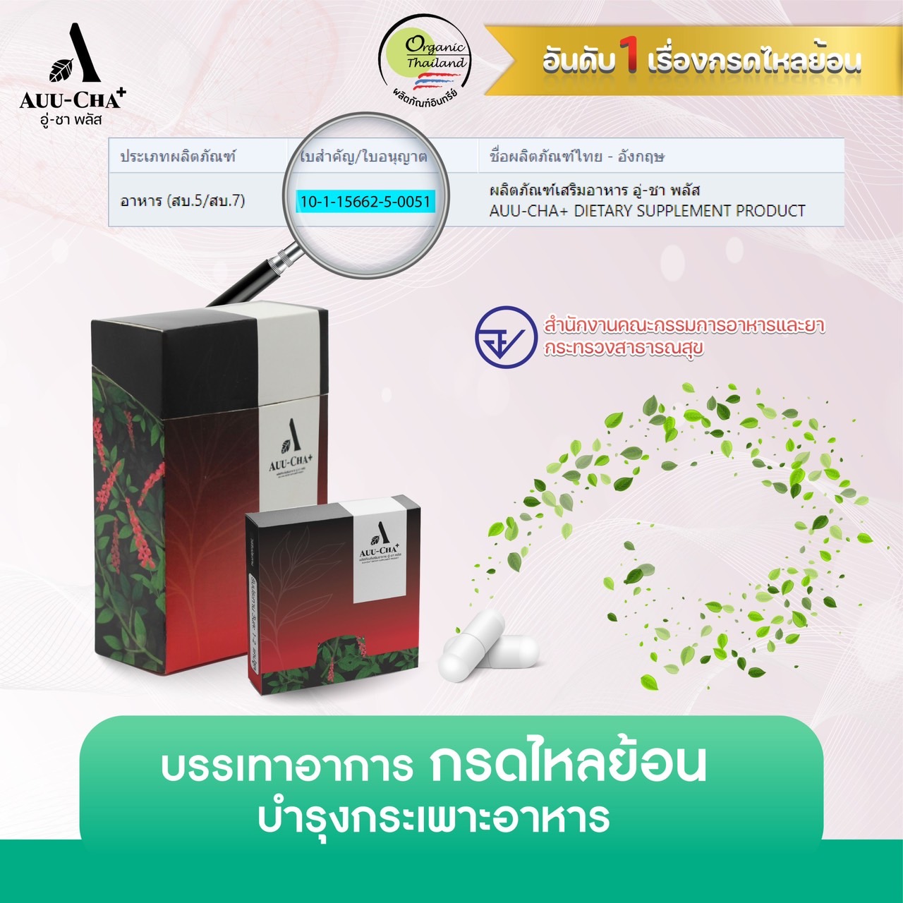 Auu-Cha+ อู่ชาพลัส สมุนไพรแก้กรดไหลย้อน สมุนไพรกรดไหลย้อน สมุนไพรบรรเทา ...