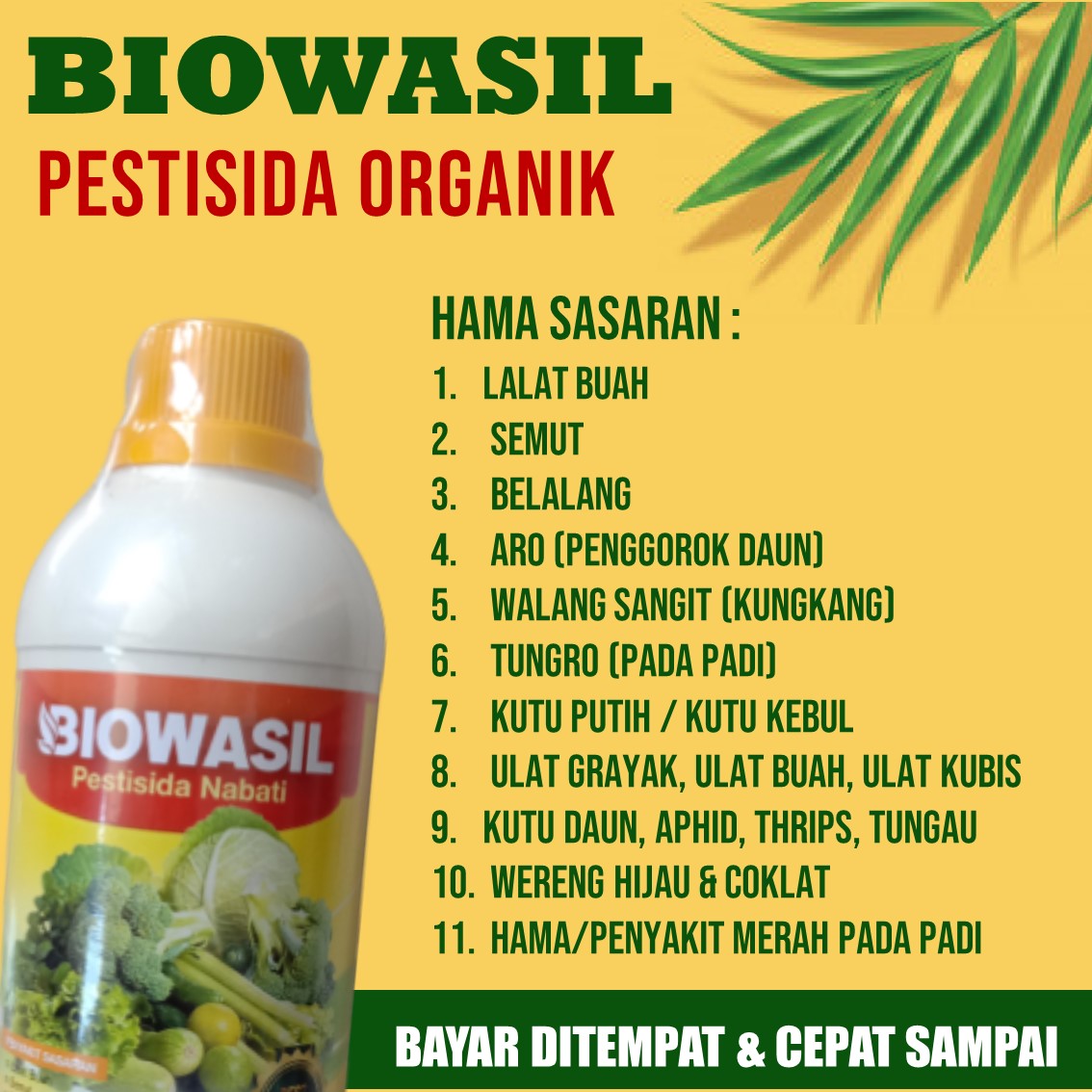 PROMO Insektisida Organik BIOWASIL 500 ML Obat Hama Wereng, Kutu Putih ...