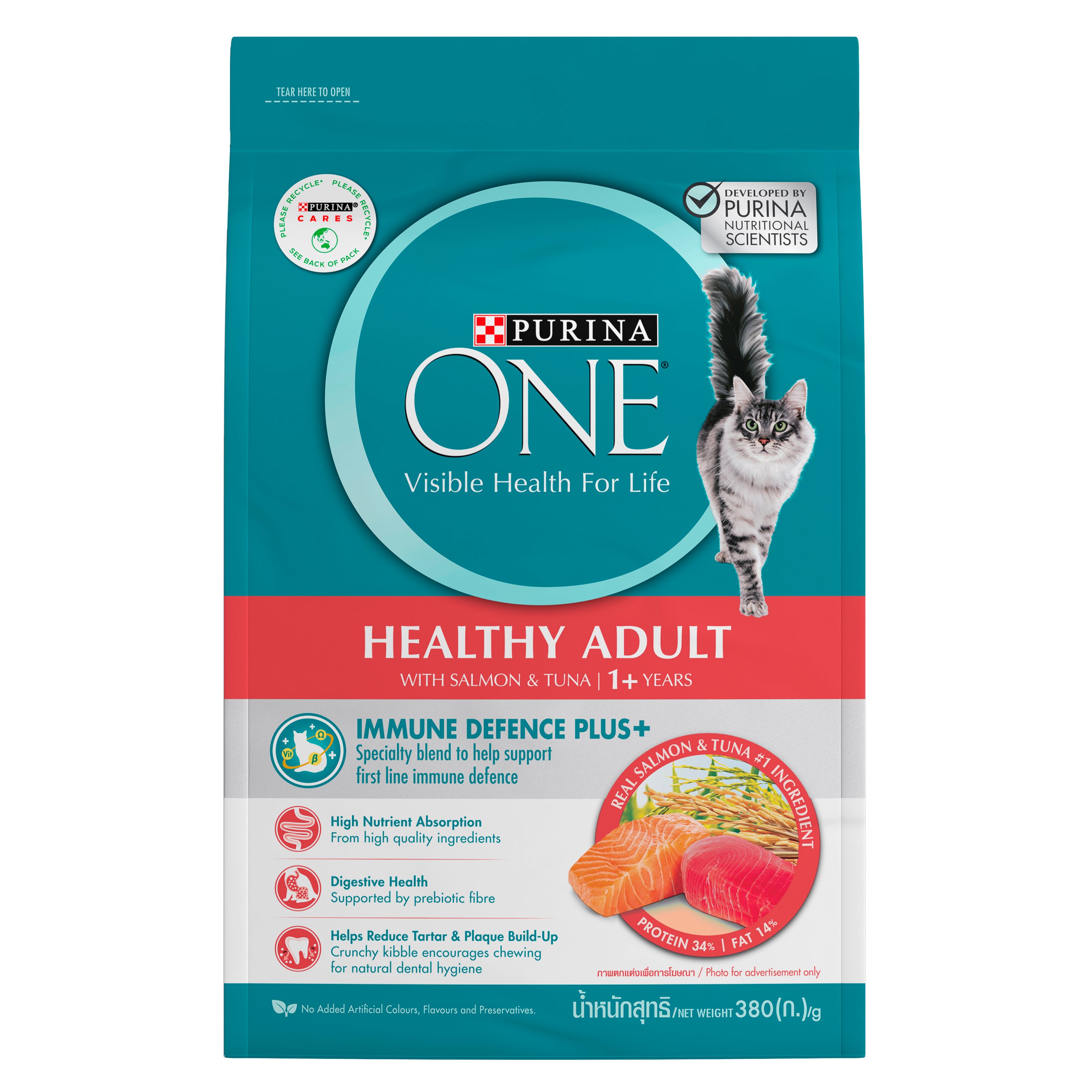 Purina ONE Healthy Adult Dry Cat Food 380g, 1.2kg | Lazada Singapore