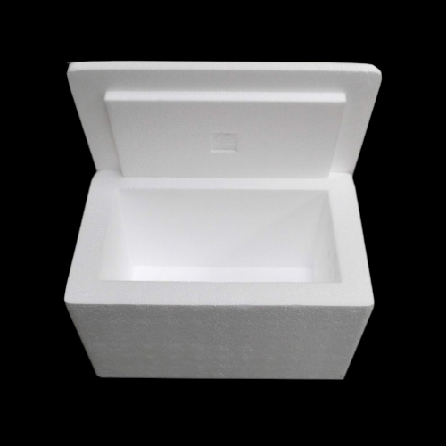 Big Styrofoam For Fish Packaging. | Lazada