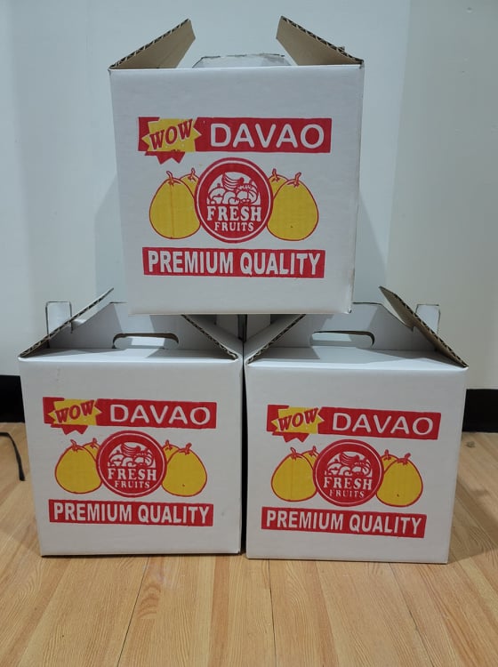 WOW DAVAO PREMIUM POMELO 5KG BOX | Lazada PH